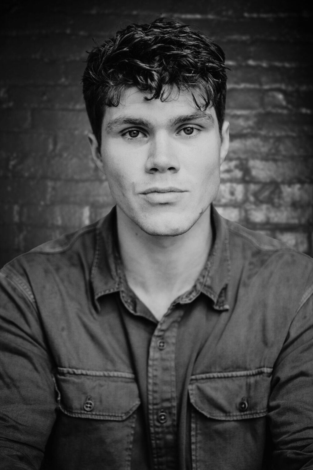 About - Showdog Studio